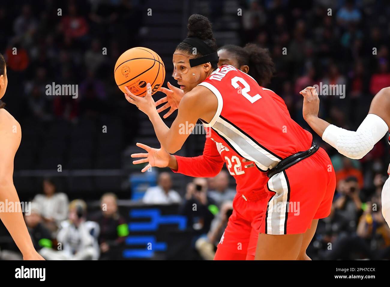 Pj gallery hi-res stock photography and images - Alamy