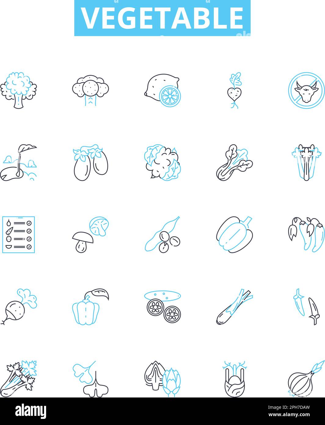 Vegetable vector line icons set. Peas, Carrots, Celery, Potato ...