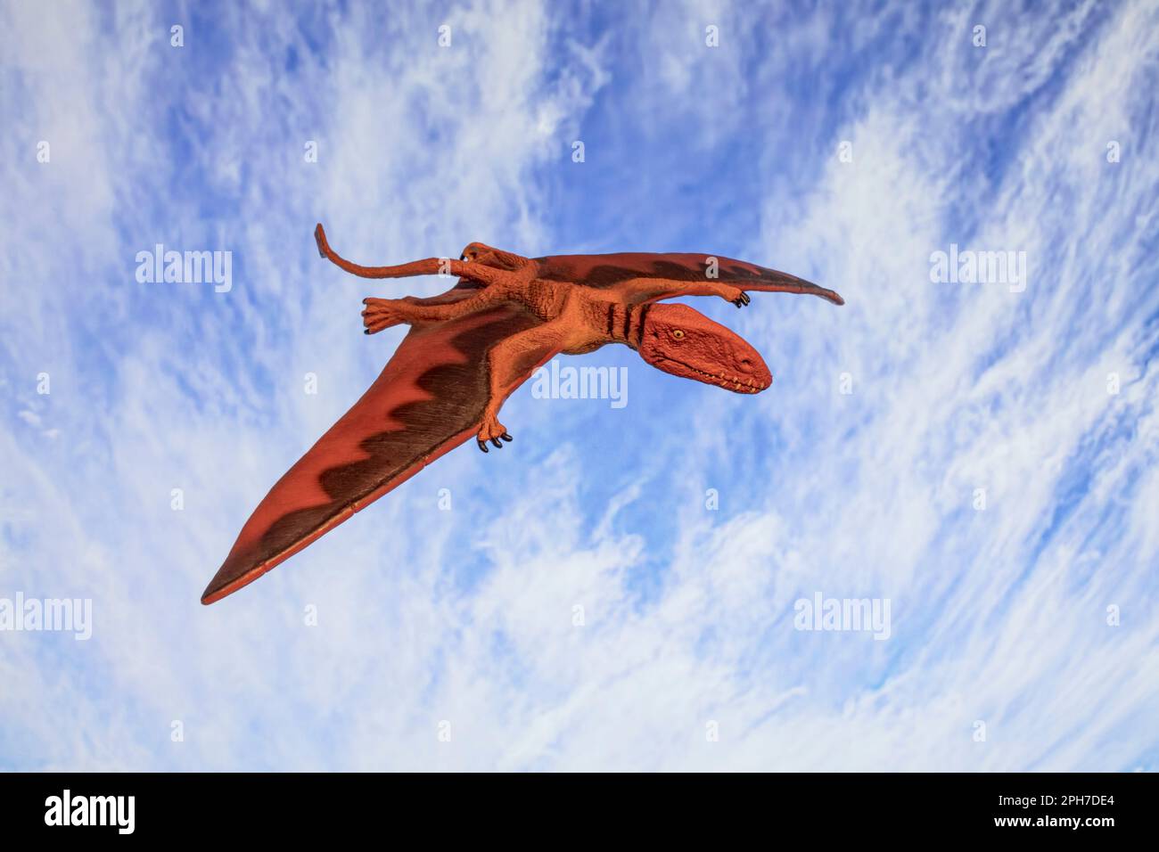 Dimorphodon (Safari, 2013) probably glided rather than flew through ...