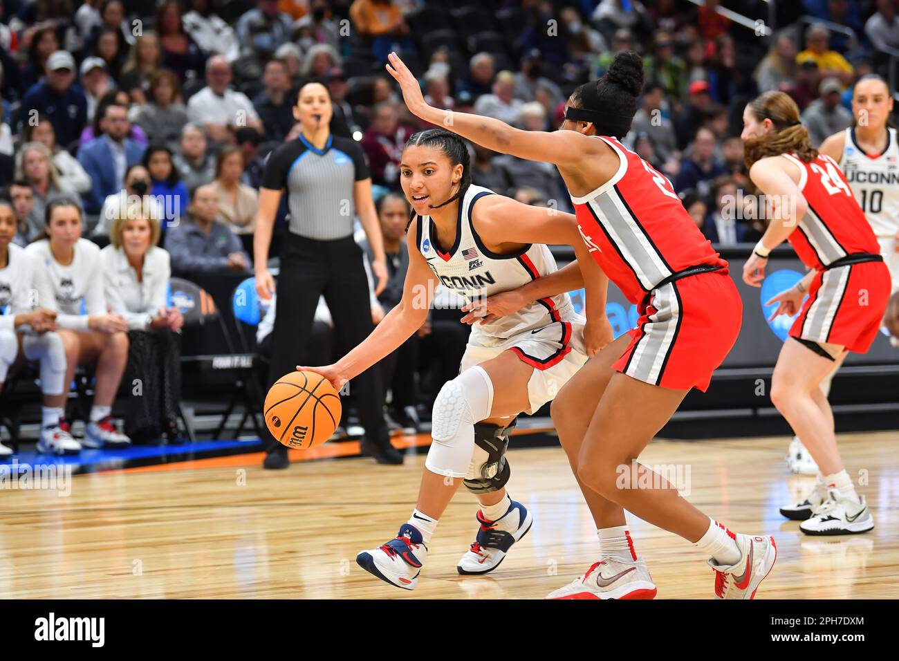 Azzi fudd hi-res stock photography and images - Alamy