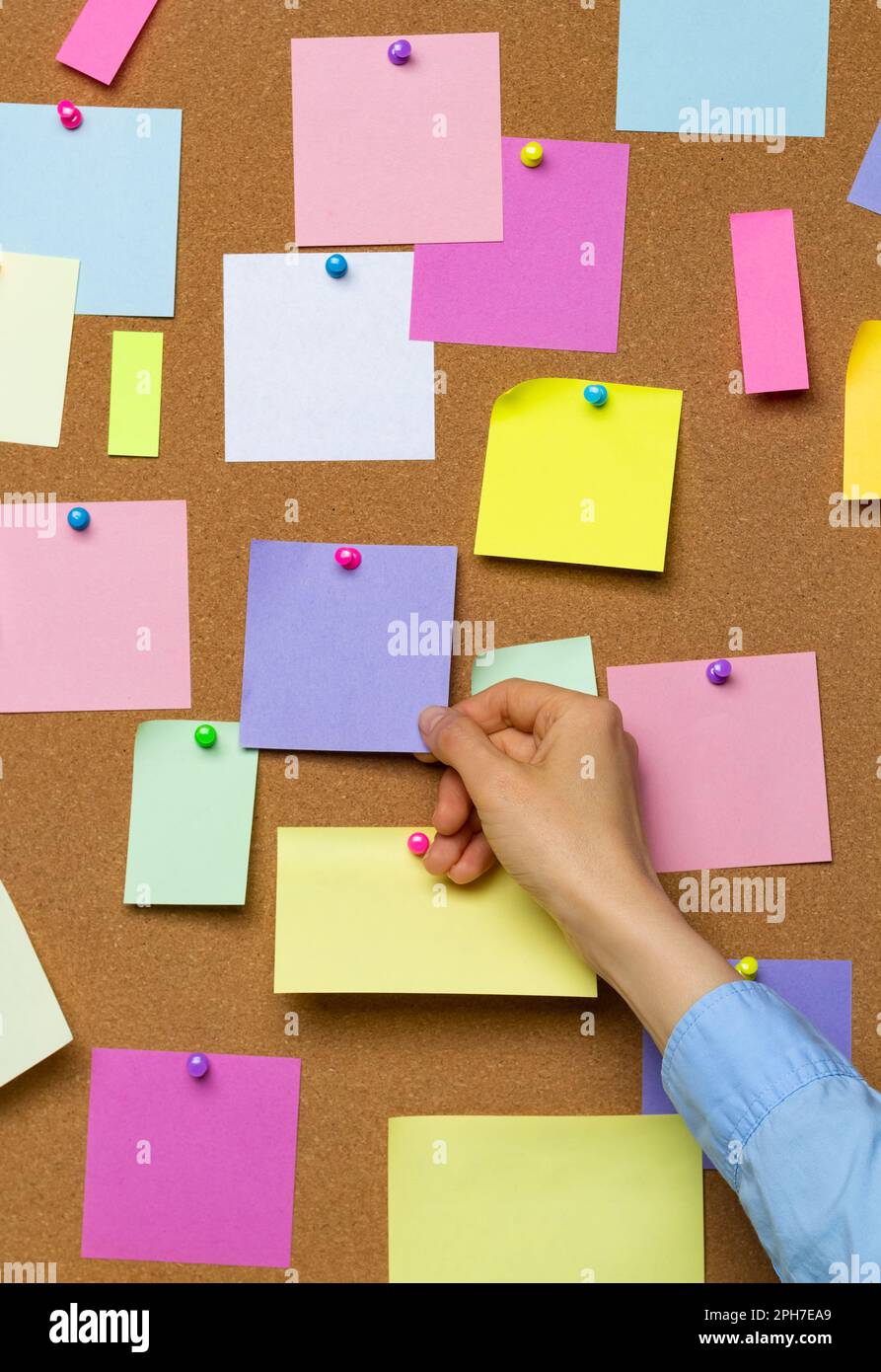 A hand holds a blank sticker for writing ideas on a cork board Stock ...