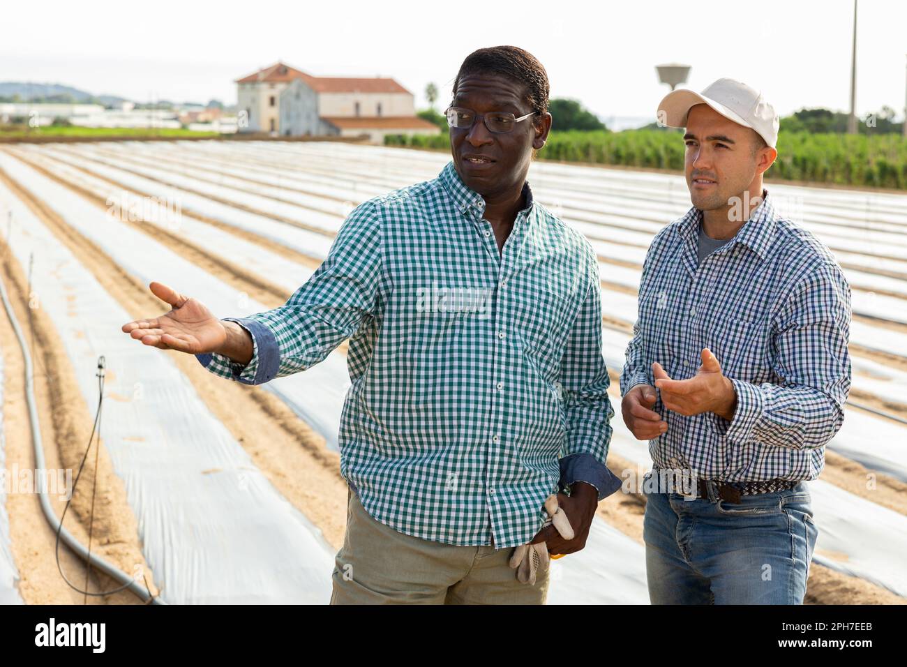 African american farmer giving instructions to worker at farm field ...