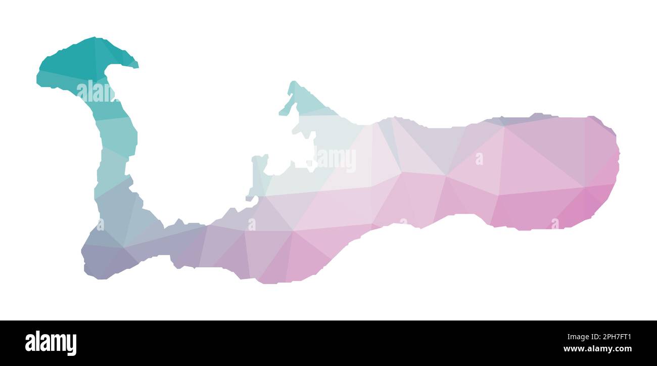 Polygonal map of Grand Cayman. Geometric illustration of the island in ...