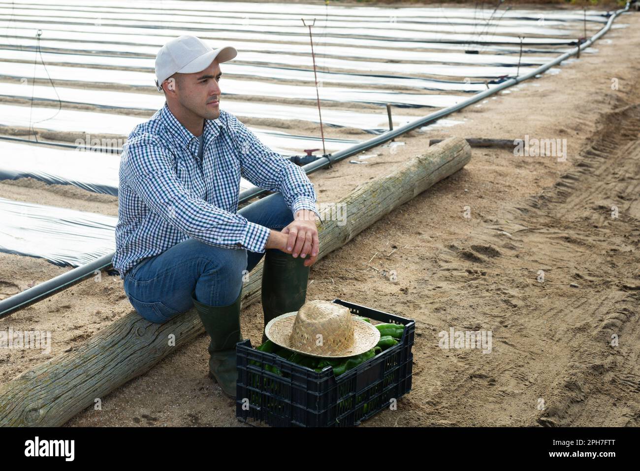 German american farmer hi-res stock photography and images - Alamy
