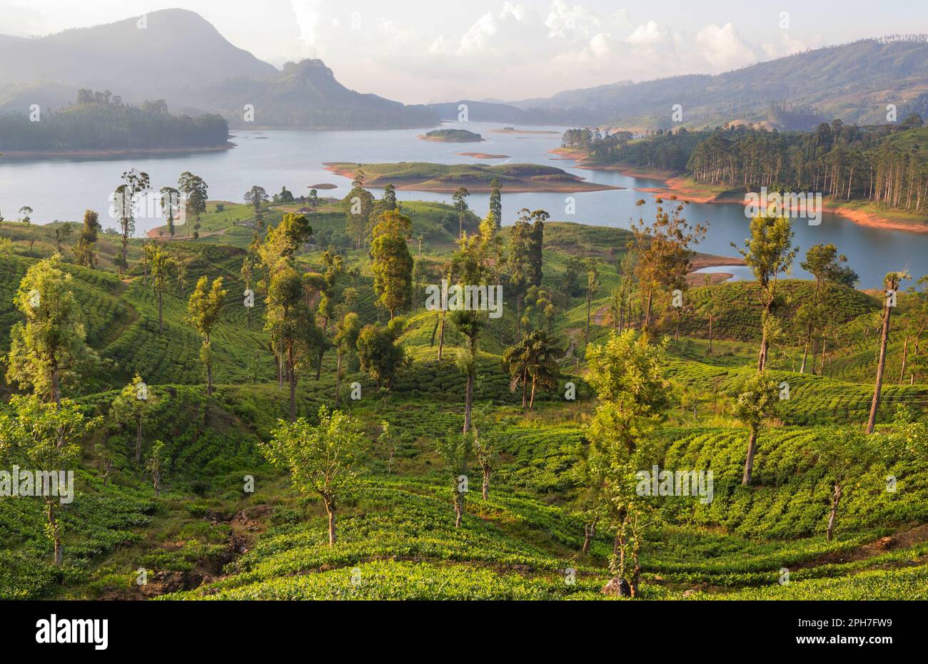Beautiful natural landscapes in Sri Lanka Stock Photo - Alamy