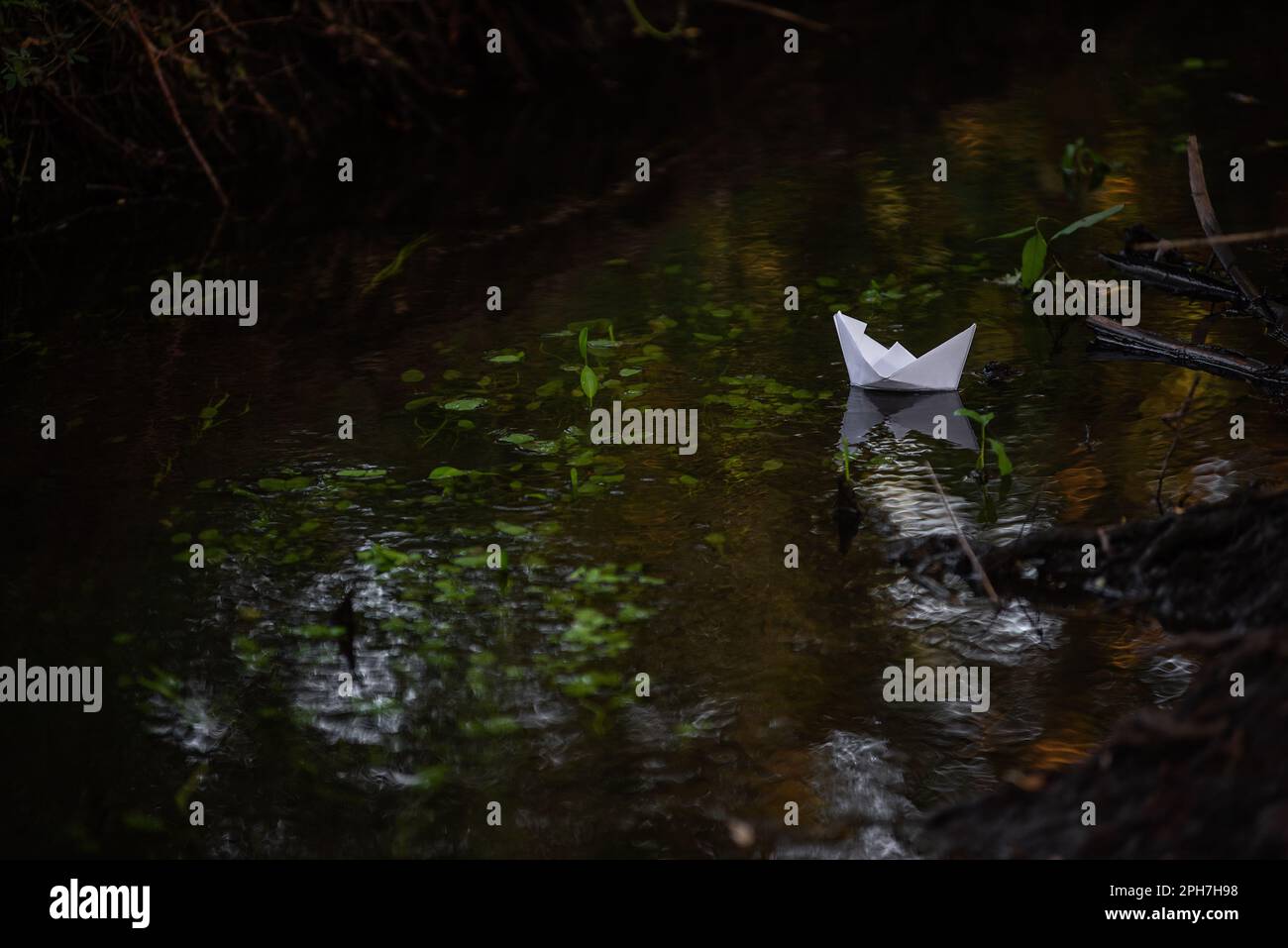 Simple, white, paper boat floats along small river in green forest ...