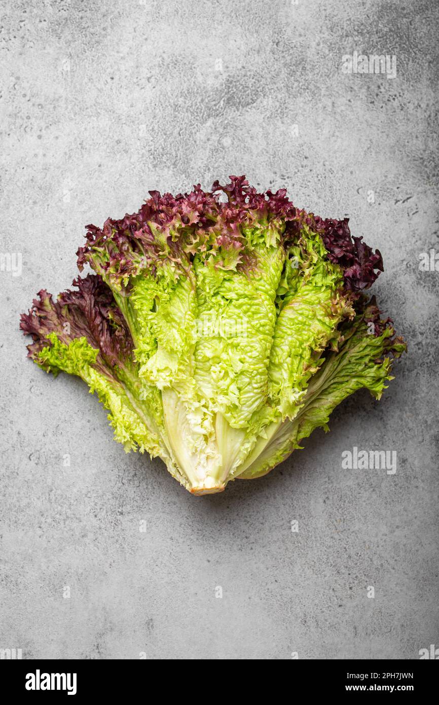 Fresh raw organic farm Lolo Rosso lettuce salad on grey rustic stone ...