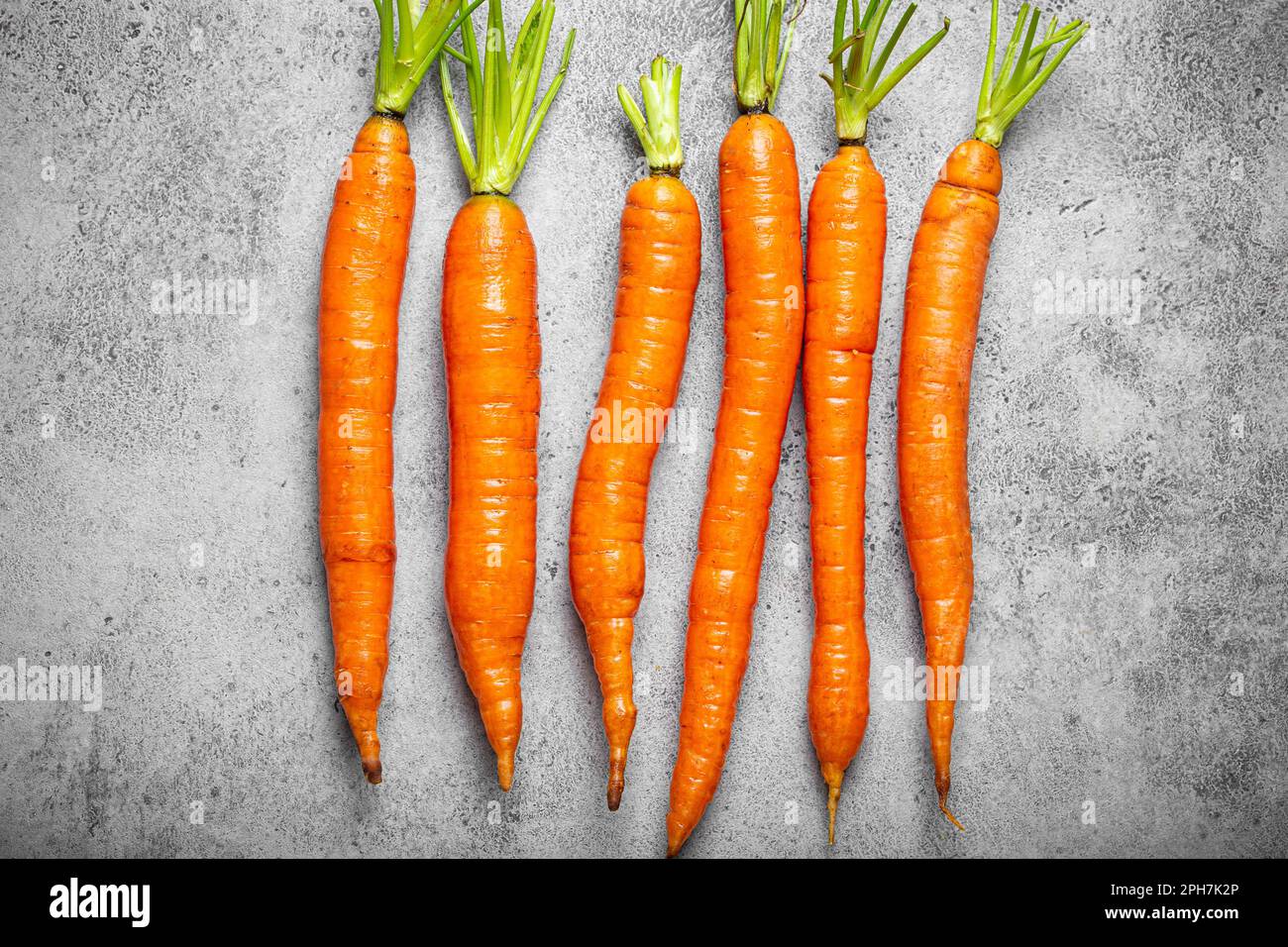 Fresh raw organic farm carrots with leafs arranged on grey rustic stone ...