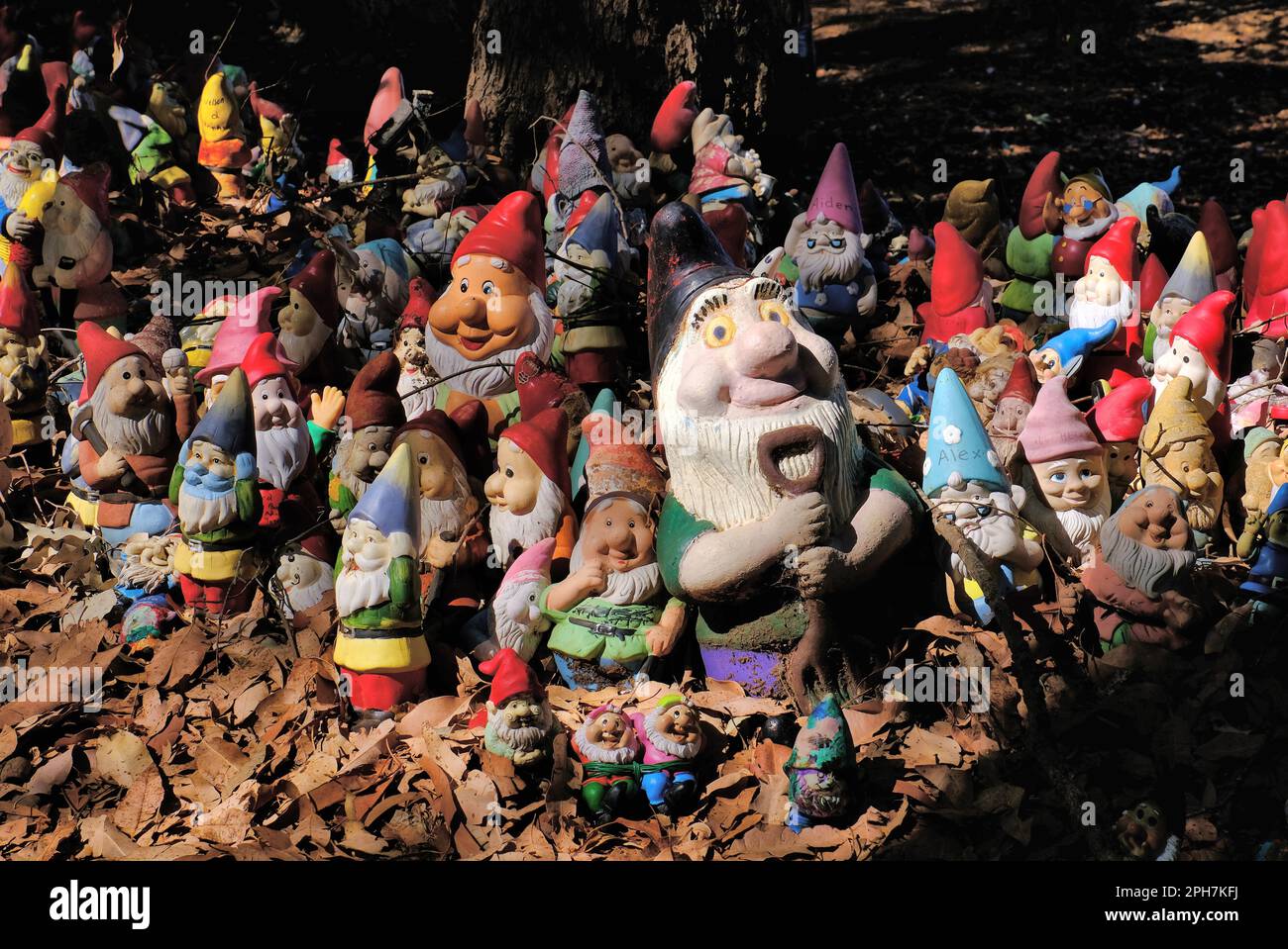 Gnomesville: large collection of gnomes near Wellington Mill, Ferguson ...
