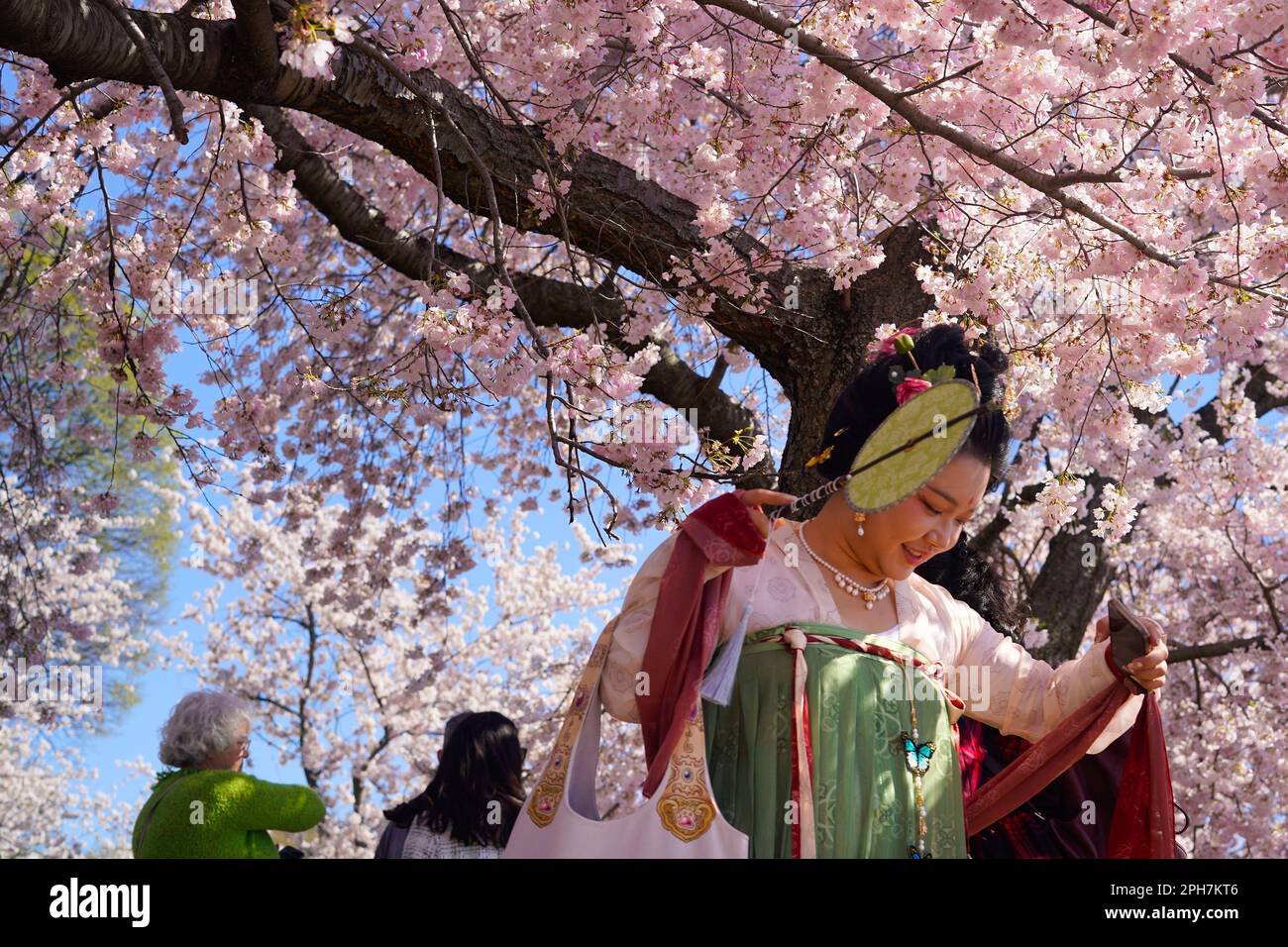 A woman in traditional clothing walking around the Tidal Basin as ...