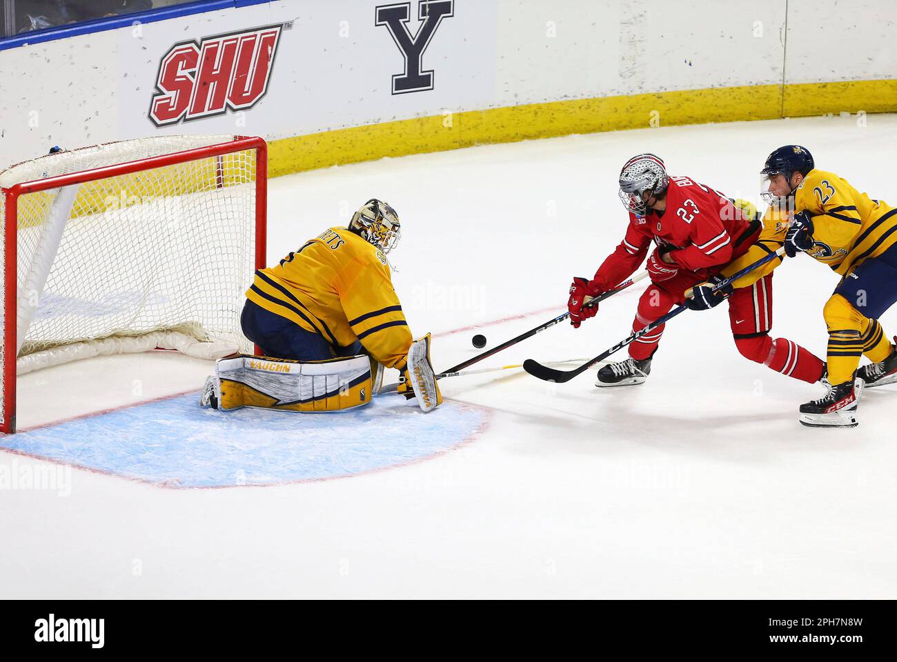 BRIDGEPORT, CT - MARCH 26: Quinnipiac Bobcats goaltender Yaniv Perets ...