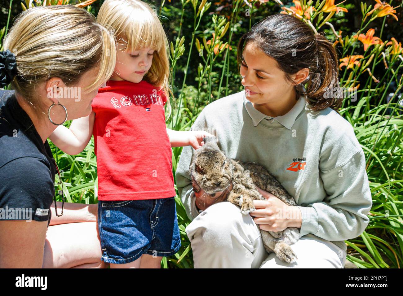 Pets petting rabbit girl mother naturalist woman women female hi-res ...