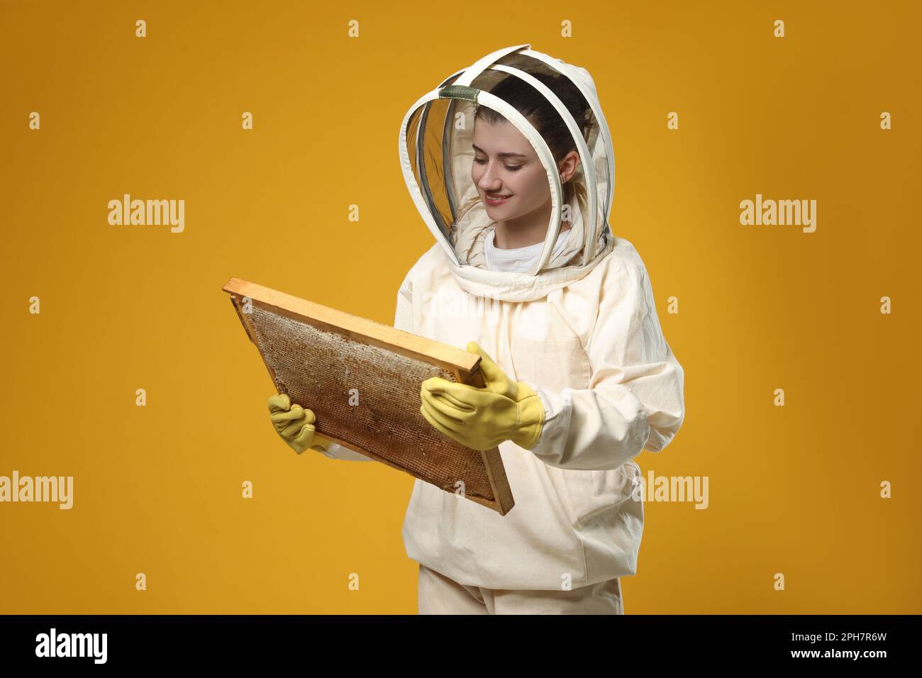 Beekeeper in uniform holding hive frame with honeycomb on yellow ...