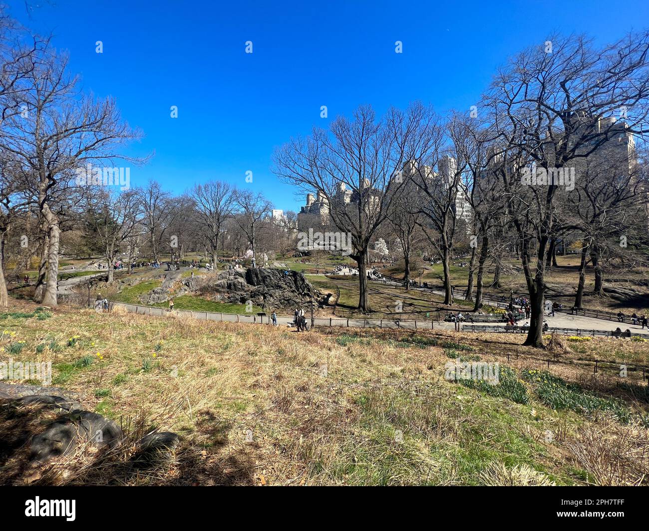 2023 flowers hi-res stock photography and images - Alamy