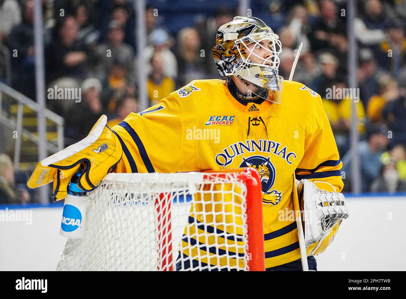 Yaniv perets hi-res stock photography and images - Alamy