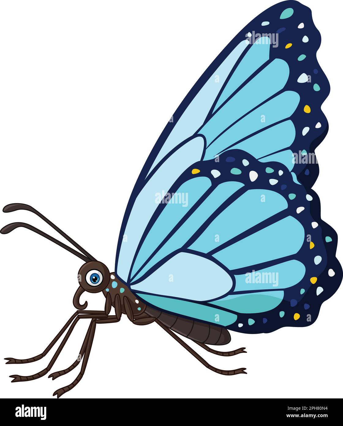 Cartoon butterfly on white background Stock Vector Image & Art - Alamy