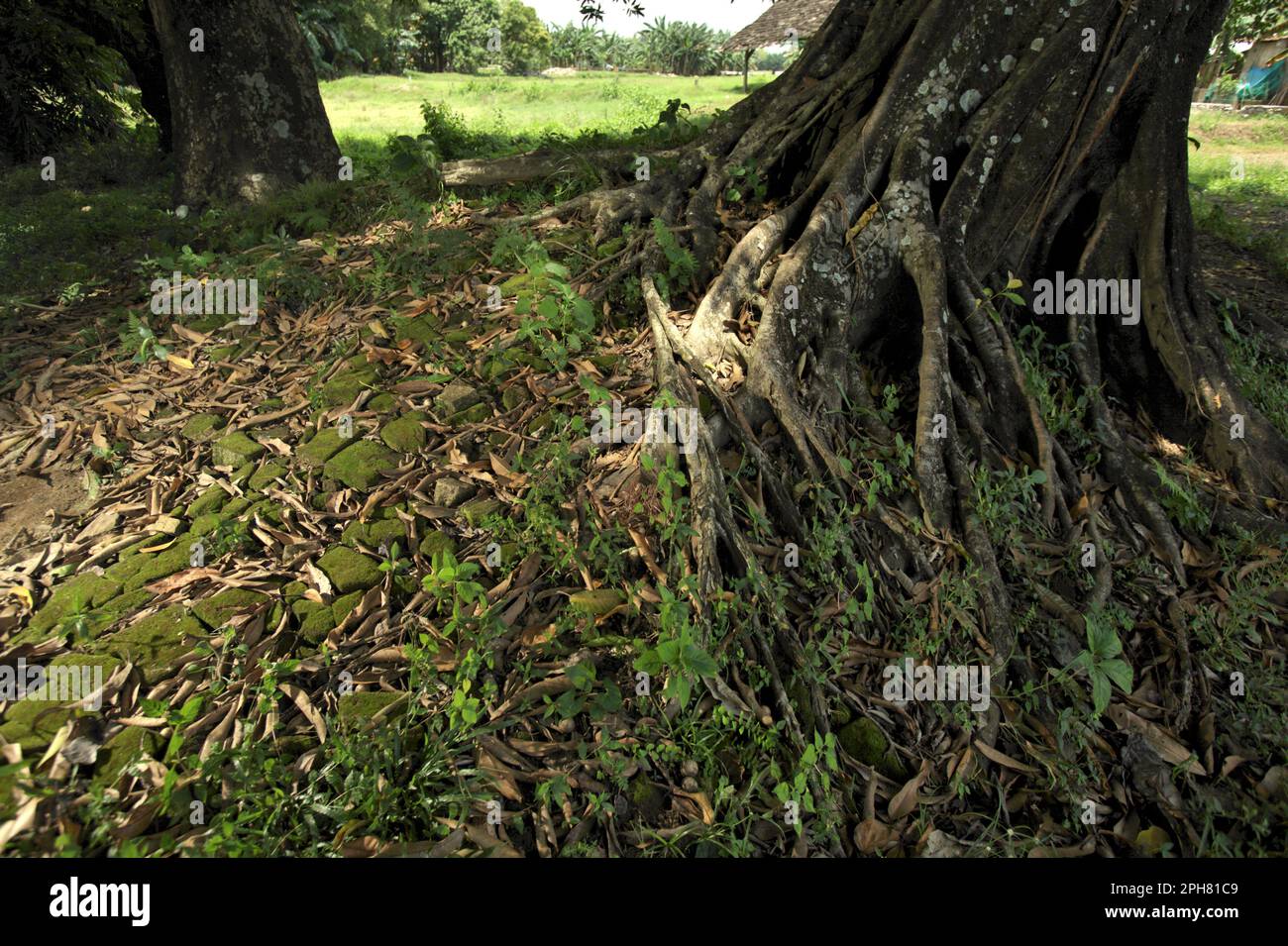 Fort somba opu hi-res stock photography and images - Alamy