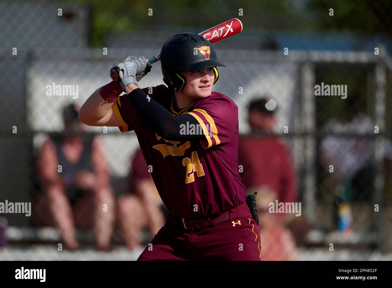 Minnesota Morris Cougars Ty Beasley (24) bats during an NCAA baseball ...