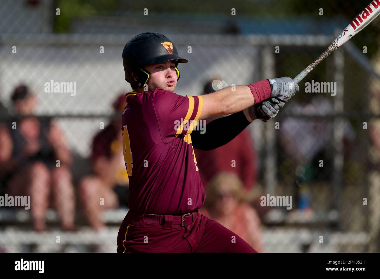 Minnesota Morris Cougars Ty Beasley (24) bats during an NCAA baseball ...