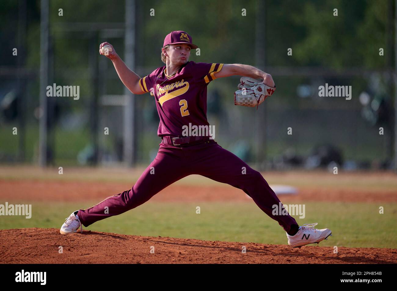 Minnesota Morris Cougars pitcher Brian Vanyo (2) during an NCAA ...