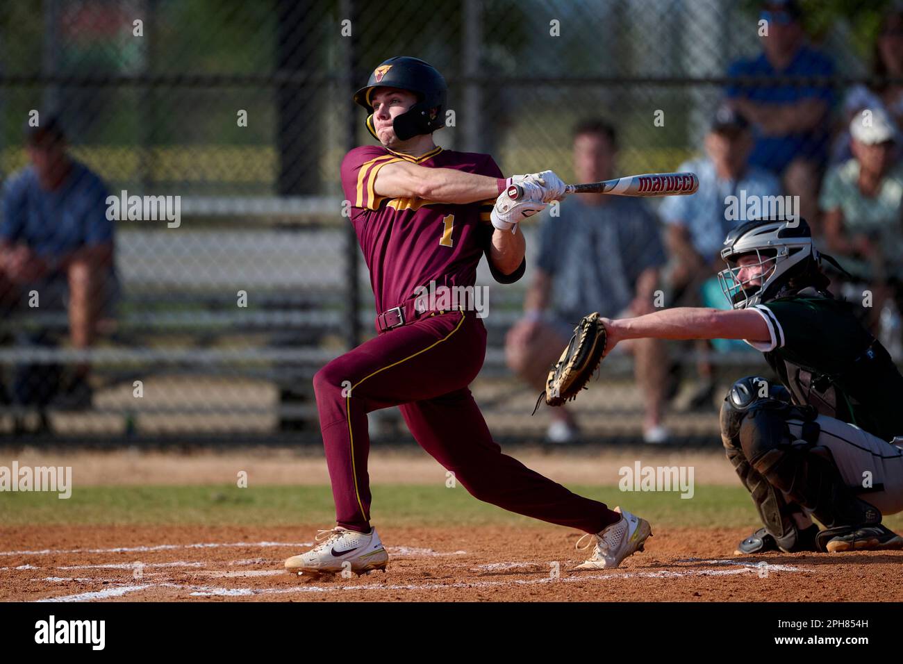 Minnesota Morris Cougars Alex Baumann (1) bats during an NCAA baseball ...
