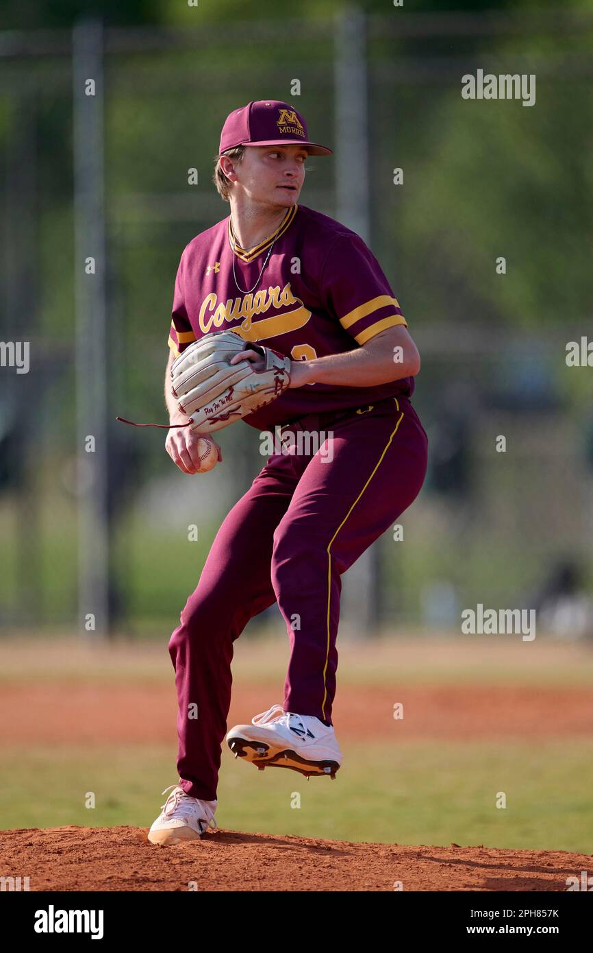Minnesota Morris Cougars pitcher Brian Vanyo (2) during an NCAA ...