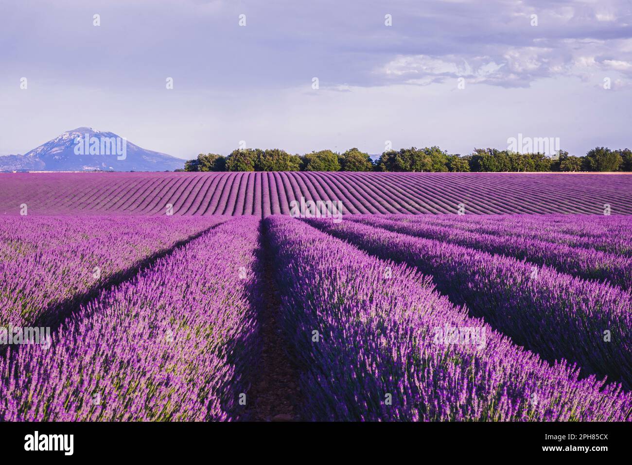 Plateau like hi-res stock photography and images - Alamy