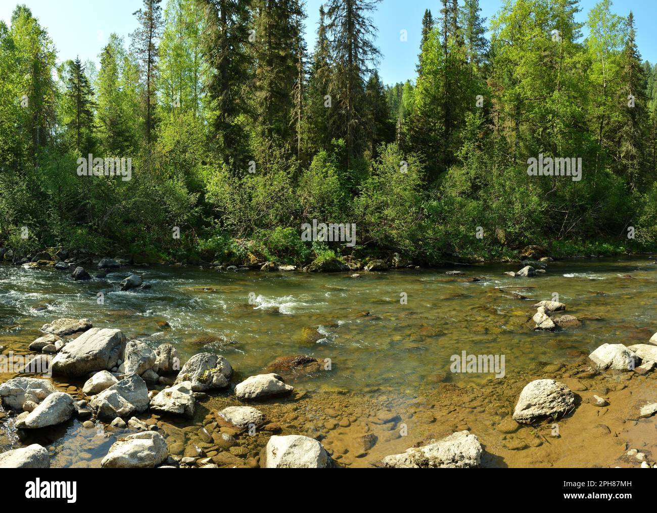 Shallow stream with high banks hi-res stock photography and images - Alamy