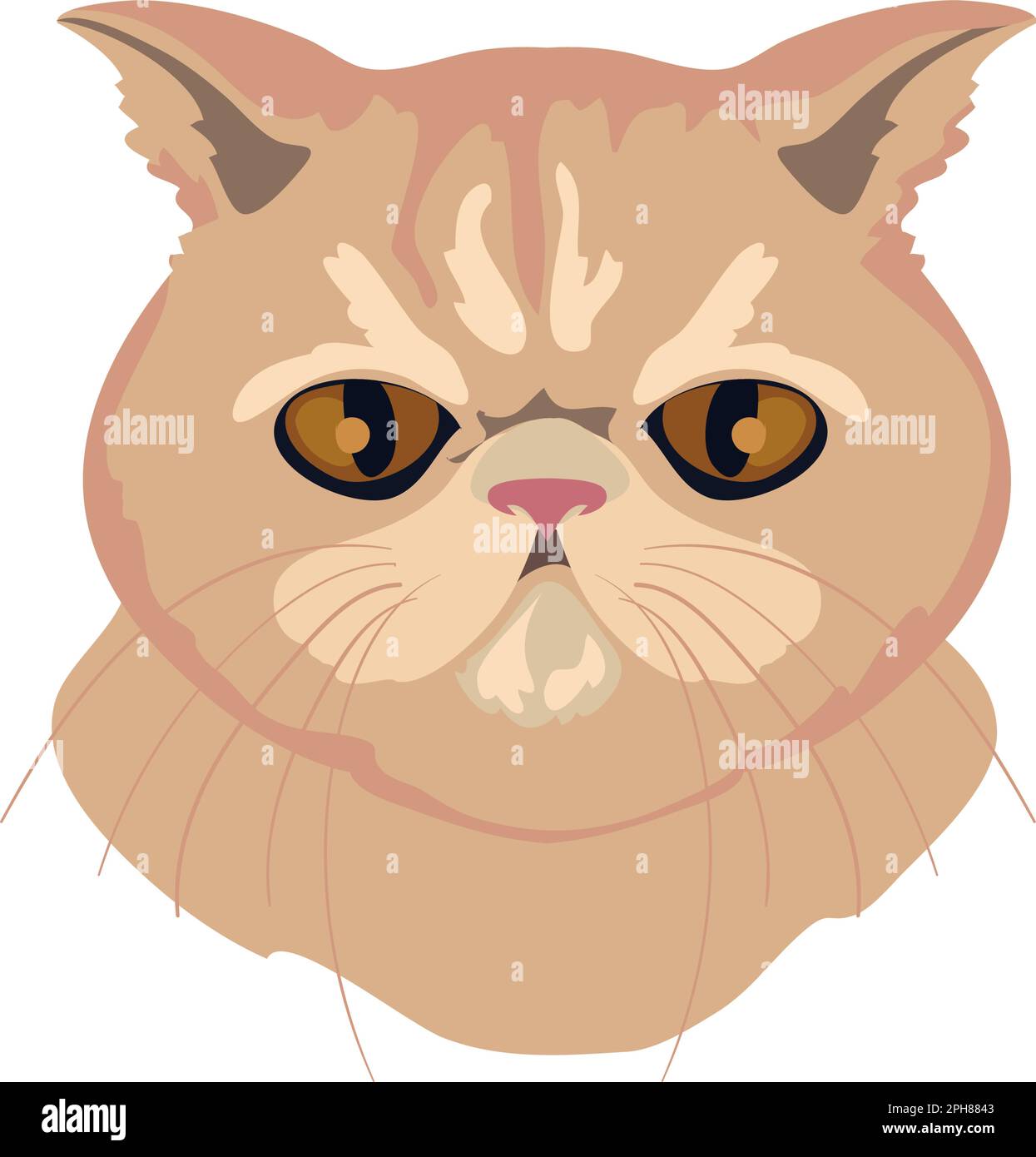 cute cat face Stock Vector Image & Art - Alamy
