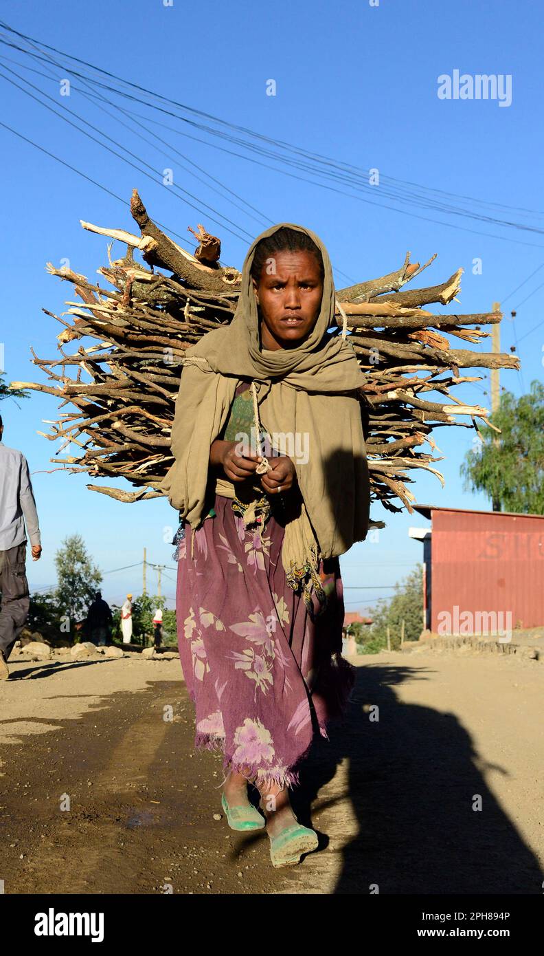 An Ethiopian woman carrying wood on her back. Lalibela, Ethiopia Stock ...