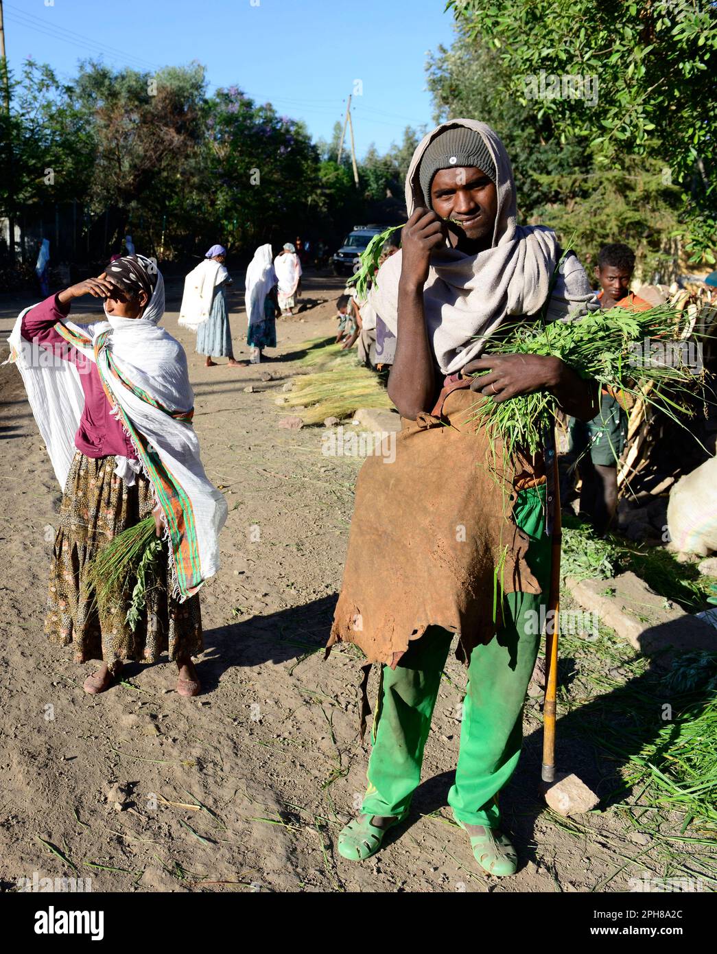 Women selling stacks of traditional Ethiopian Grass for sale in a ...