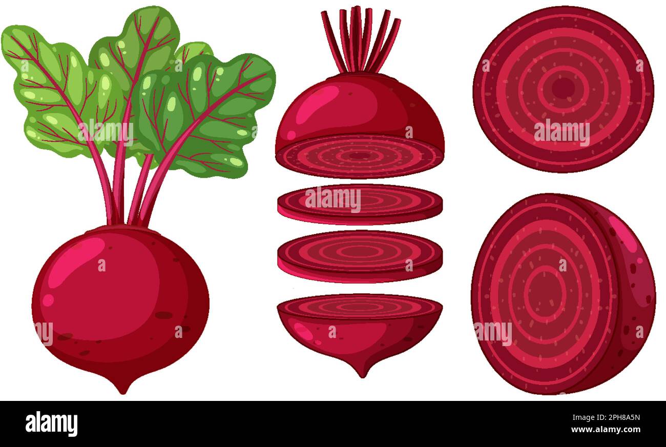 Set of beetroot cartoon illustration Stock Vector Image & Art - Alamy