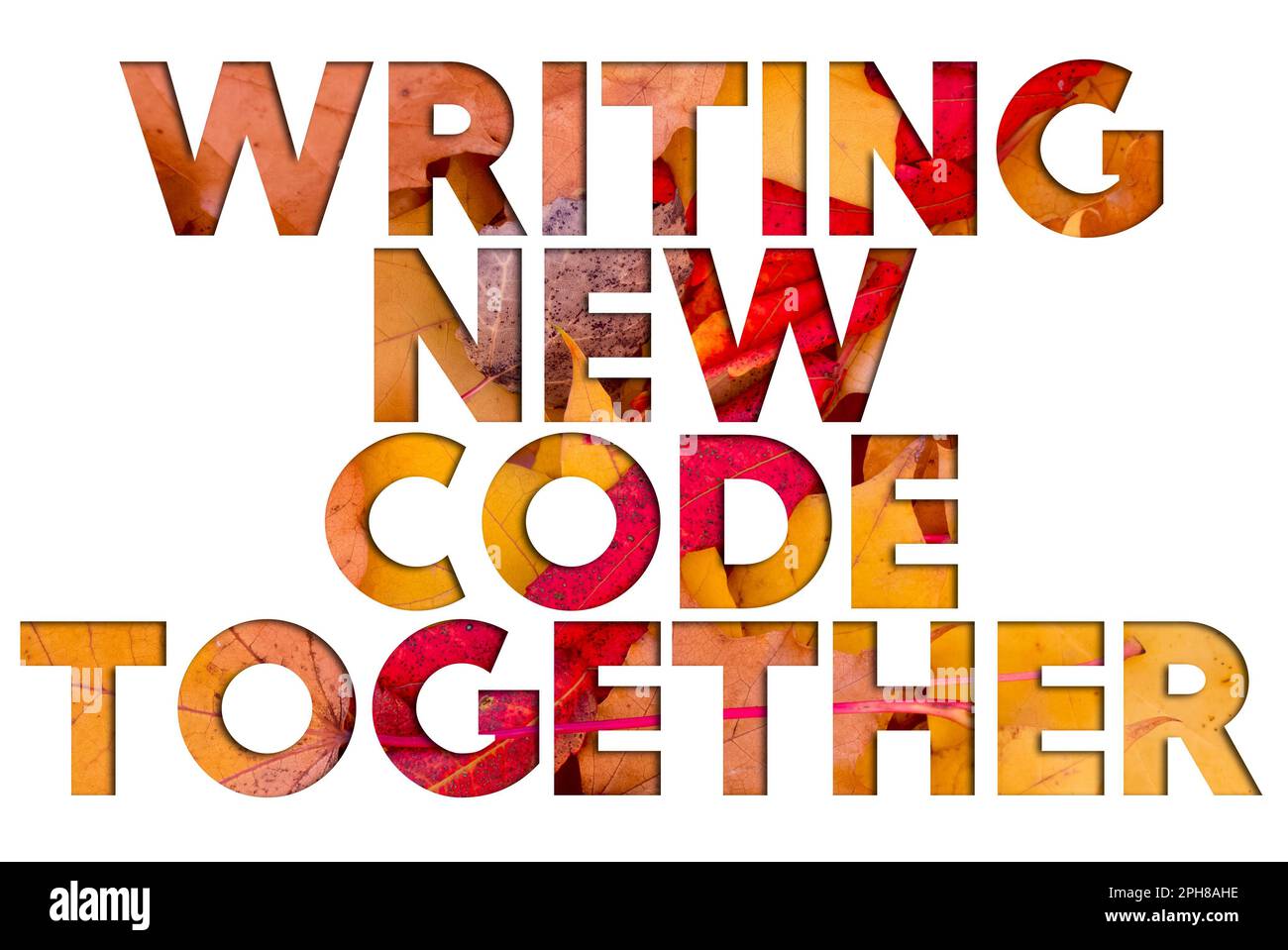Autumn leaves, objects with Writing New Code Together text. Natural ...