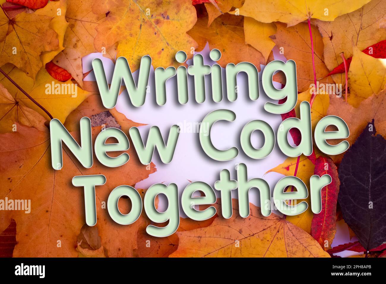 Autumn leaves, objects with Writing New Code Together text. Natural patterns, color design Stock ...