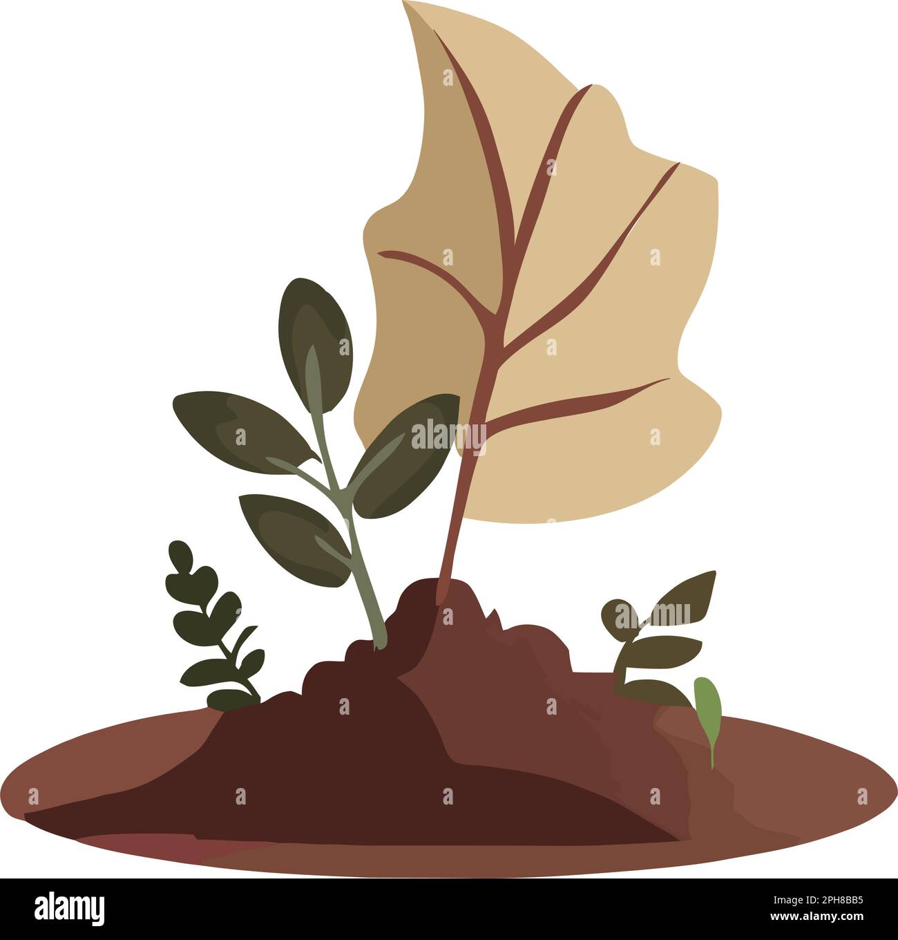 nature potted plant design Stock Vector Image & Art - Alamy