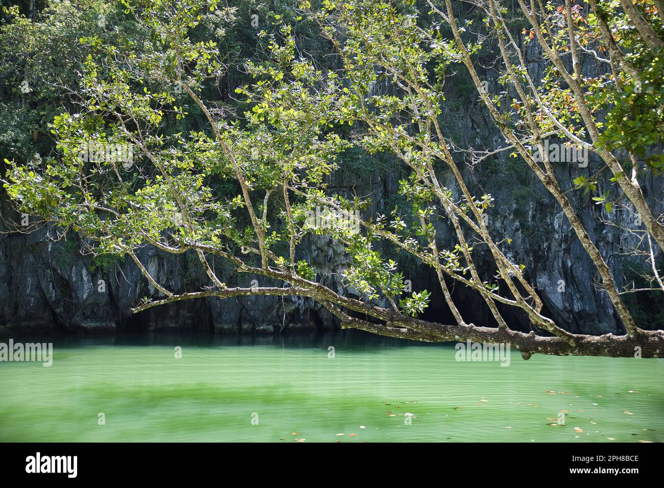 A small bay with majestic rocks in Puerto Princesa, Palawan in the ...