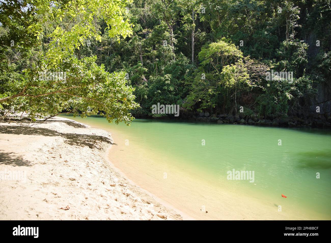 Small bay with sandy beach of Puerto Princesa, Palawan in the Philippines, surrounded by trees ...