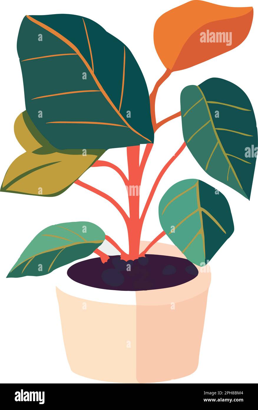 colored potted plant design Stock Vector Image & Art - Alamy