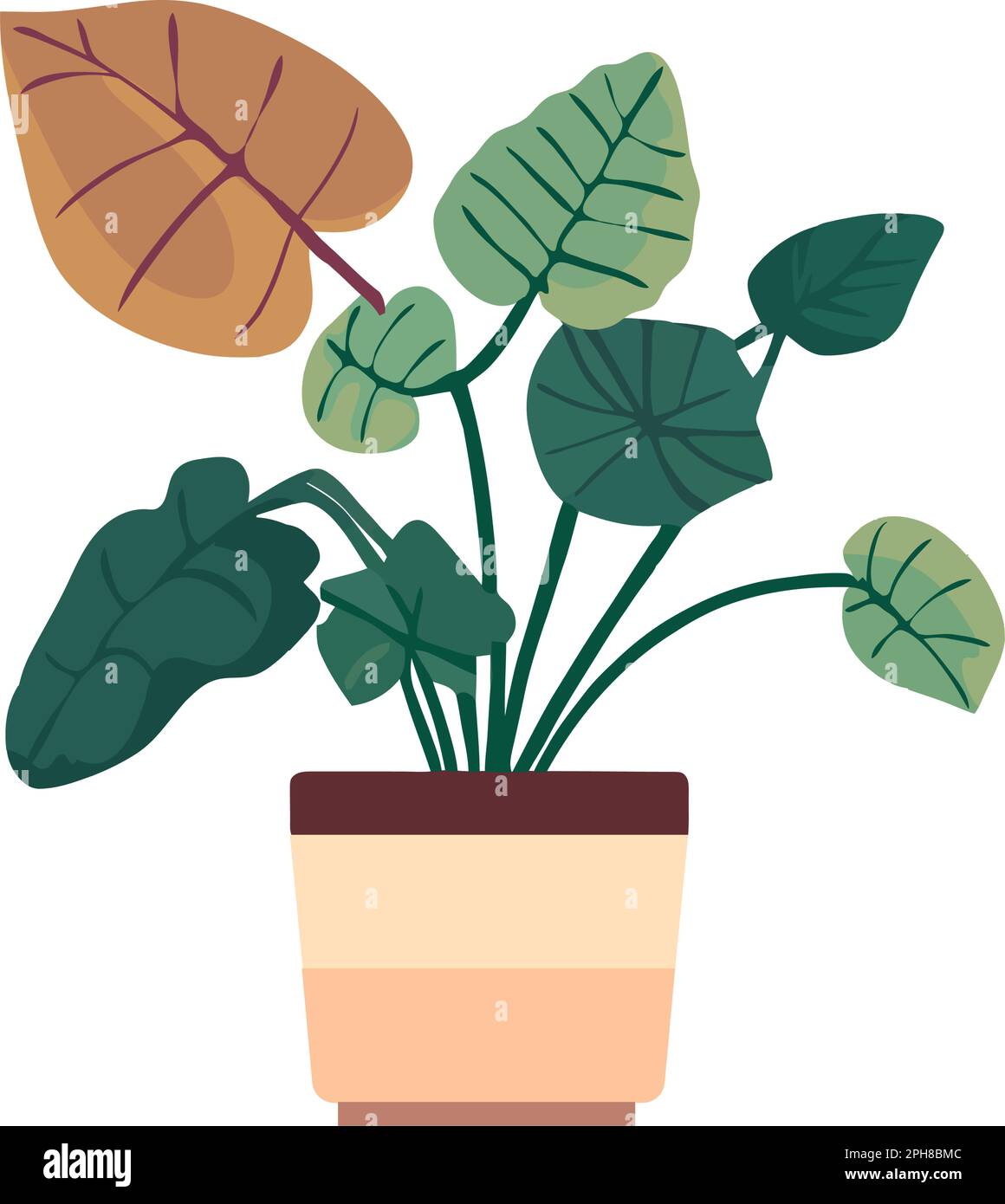 colored potted plant illustration Stock Vector Image & Art - Alamy