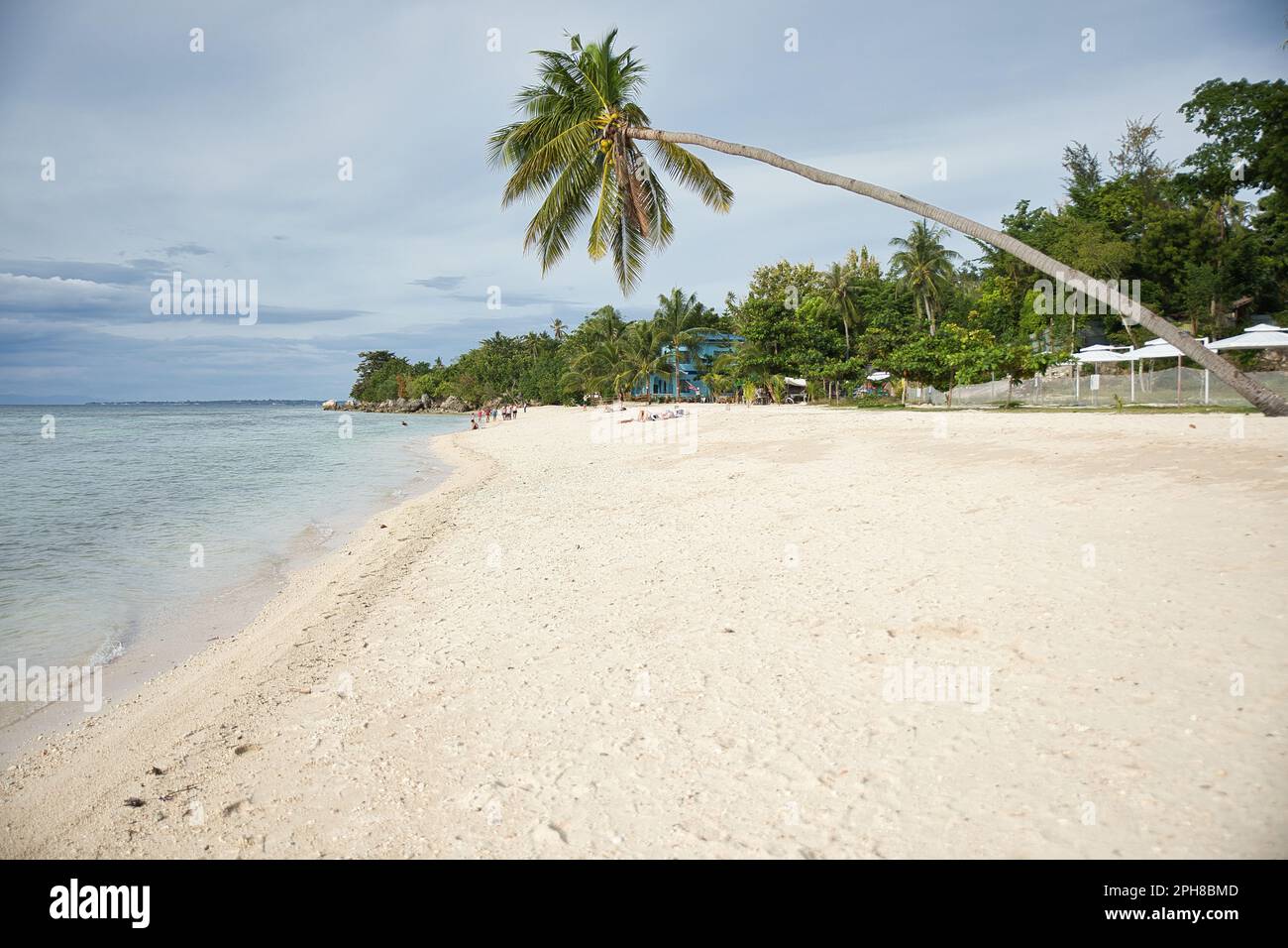 Dreamlike idyllic beach of Moalboal Cebu in the Philippines with palm ...