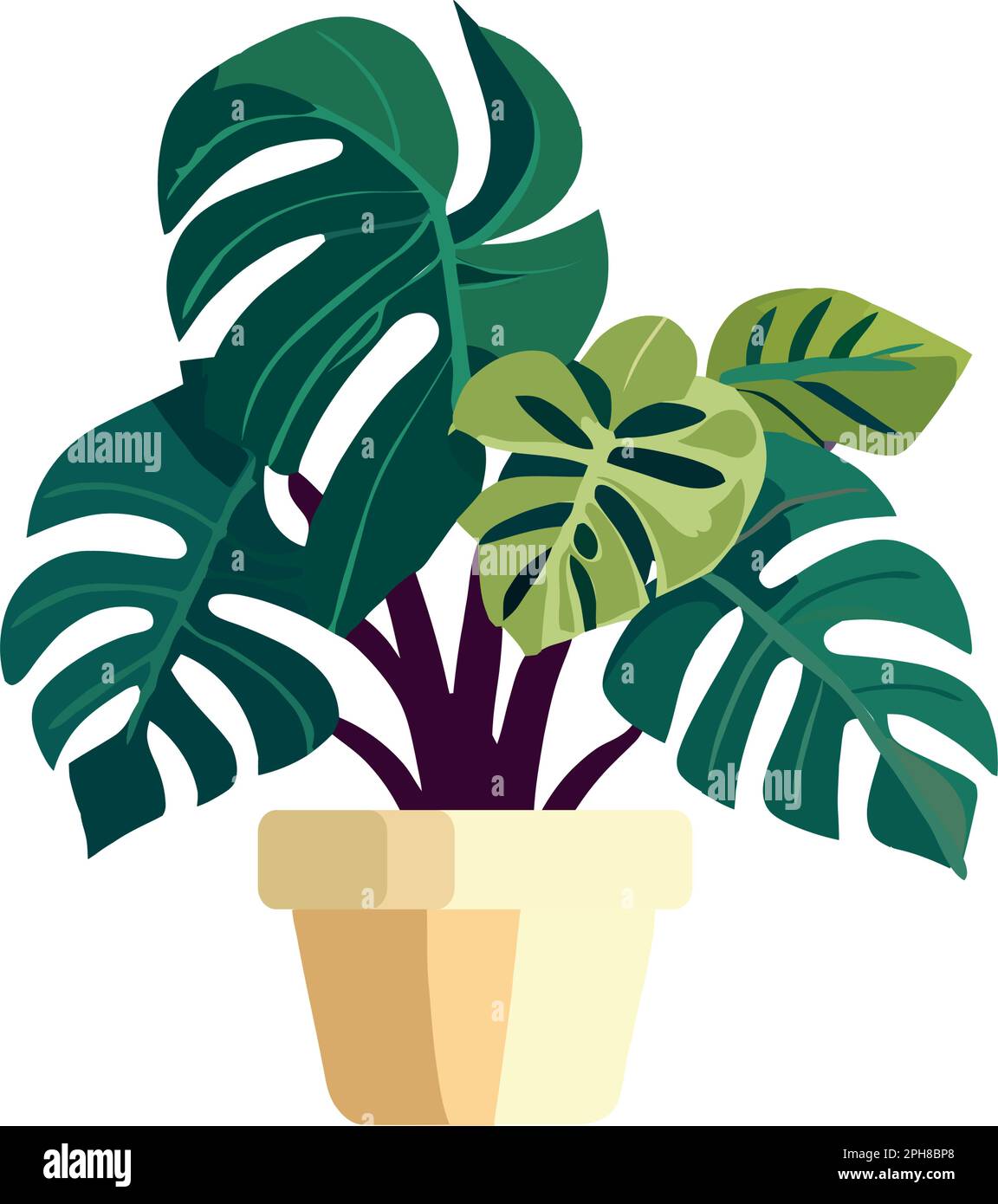 green potted plant illustration Stock Vector Image & Art - Alamy
