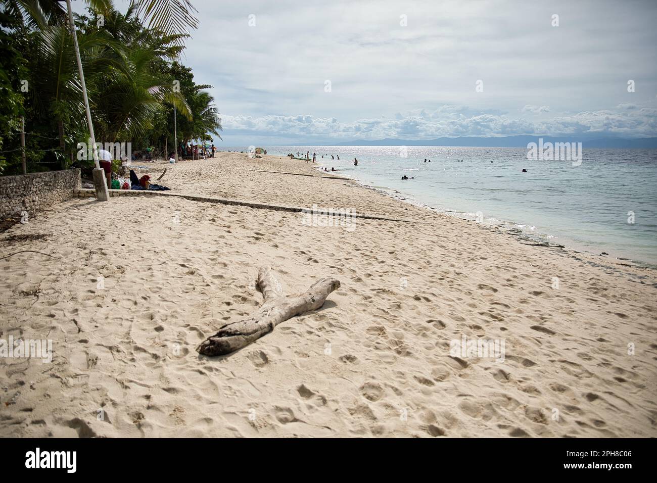 Dreamlike idyllic beach of Moalboal, Cebu in the Philippines with palm ...