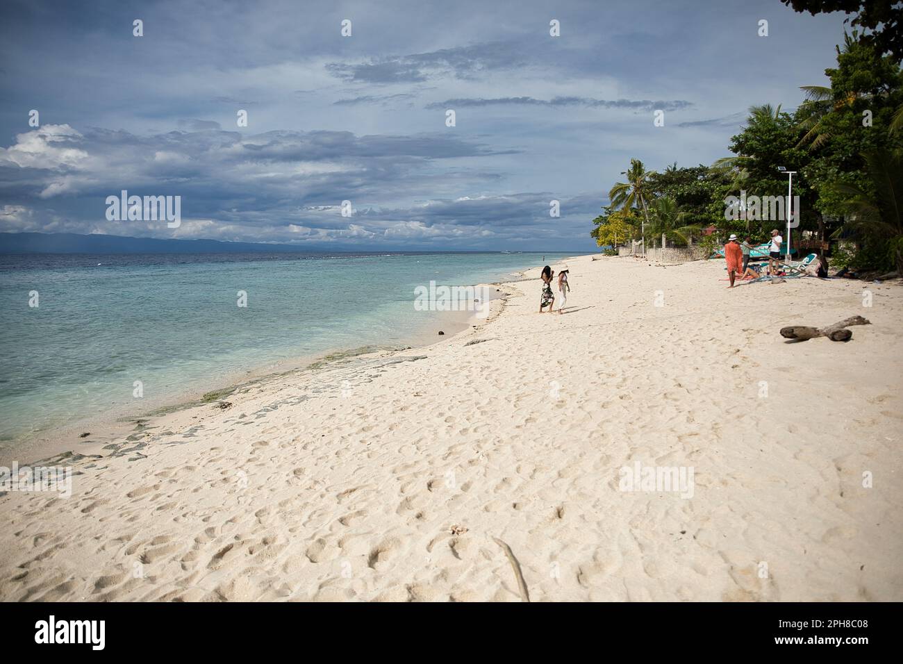 Dreamlike idyllic beach of Moalboal, Cebu in the Philippines with palm ...