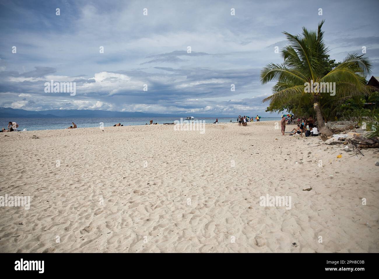Dreamlike idyllic beach of Moalboal, Cebu in the Philippines with palm ...