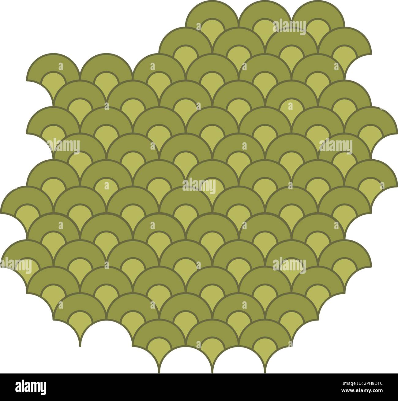 Mermaid dragon vector vectors hi-res stock photography and images - Alamy