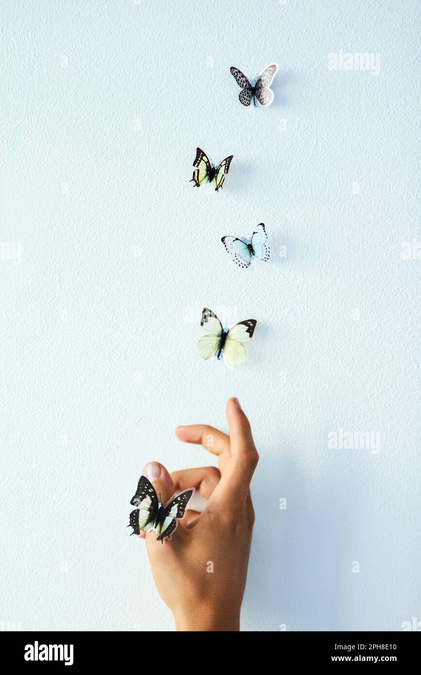 Hands releasing butterflies hi-res stock photography and images - Alamy