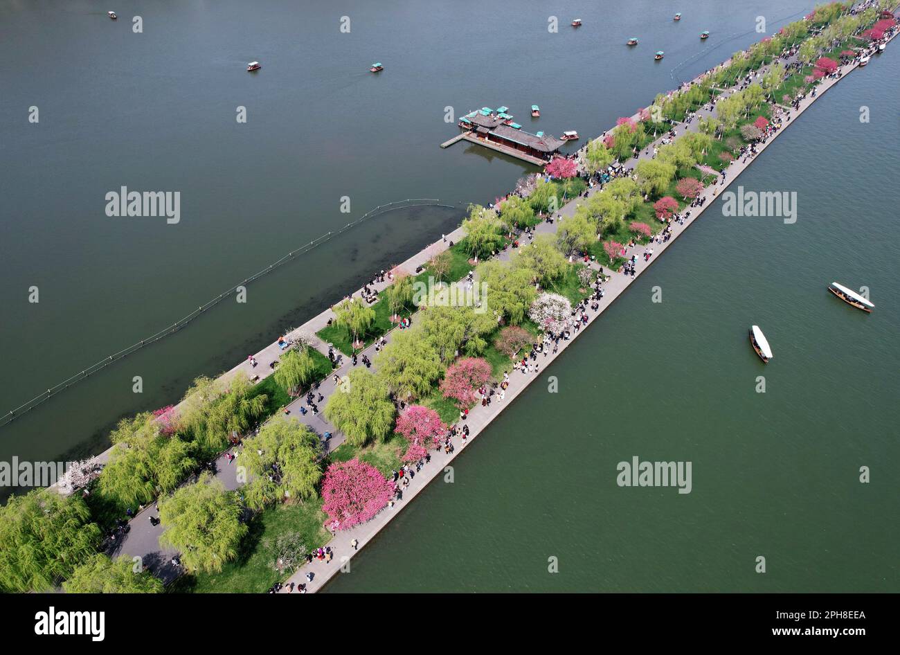 HANGZHOU, CHINA - MARCH 27, 2023 - Tourists view peach blossoms on the ...
