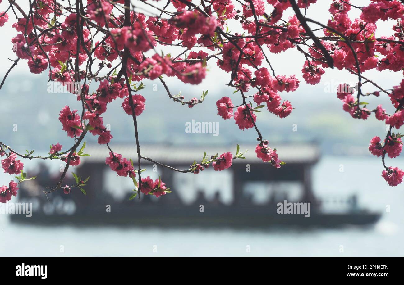 China hangzhou west lake bai causeway hi-res stock photography and ...
