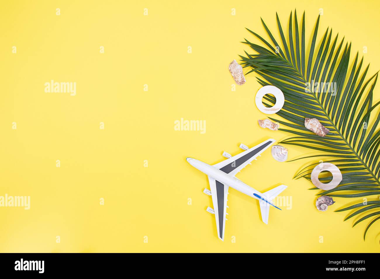 Plane shell hi-res stock photography and images - Alamy