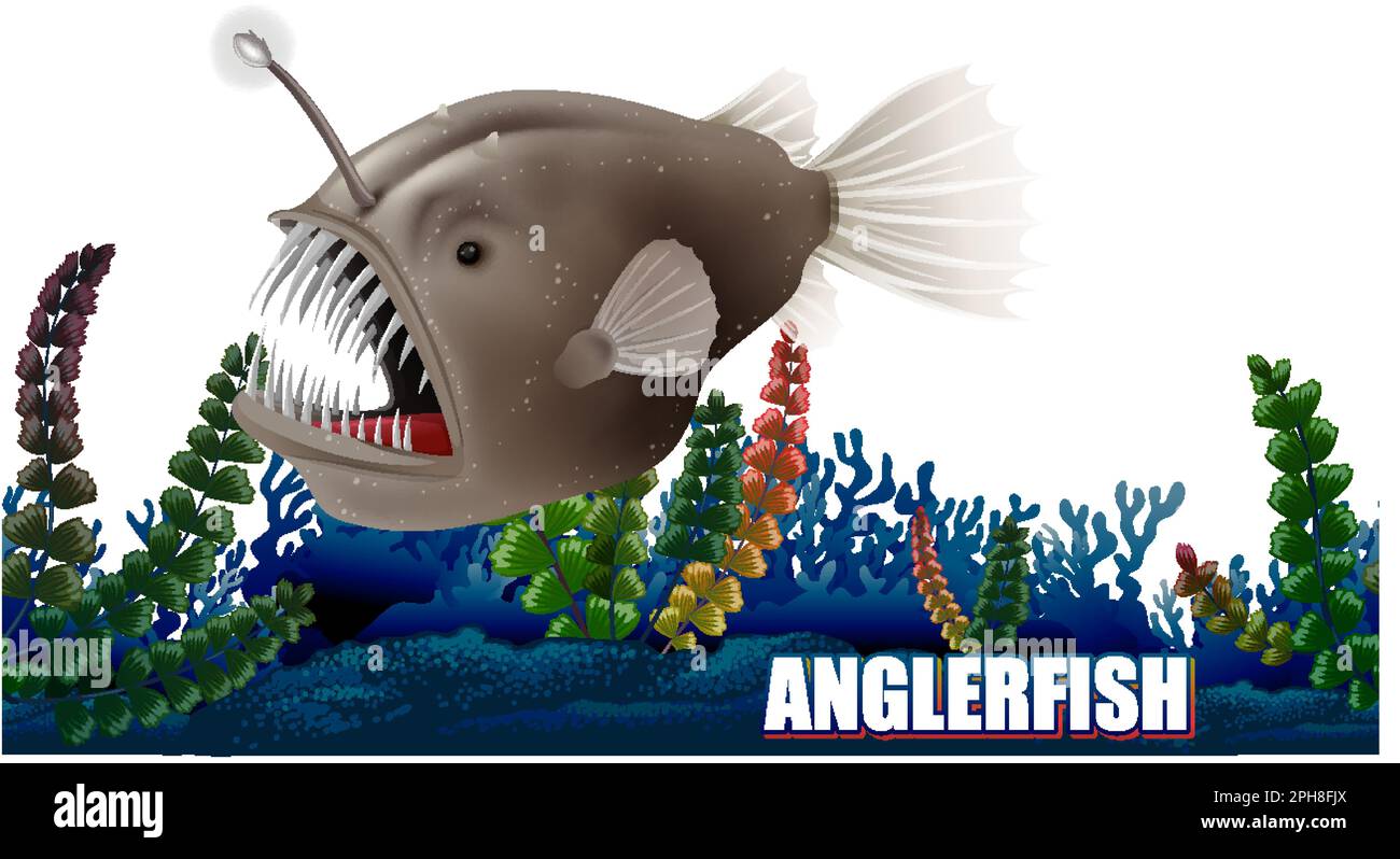 Anglerfish Deep Sea Creature illustration Stock Vector Image & Art - Alamy